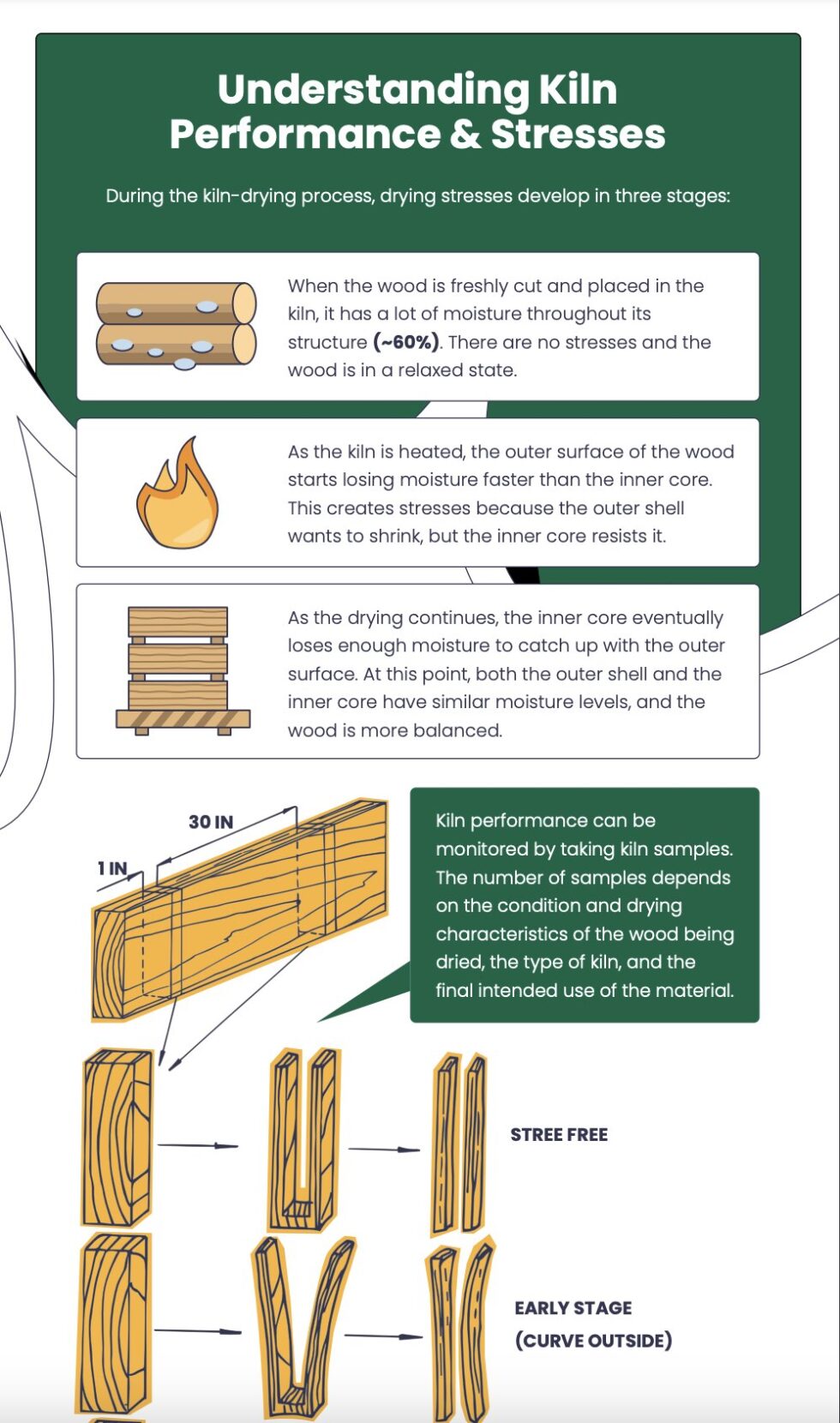 How Does the Kiln Drying of Wood Process Work? The Ultimate Explanation ...